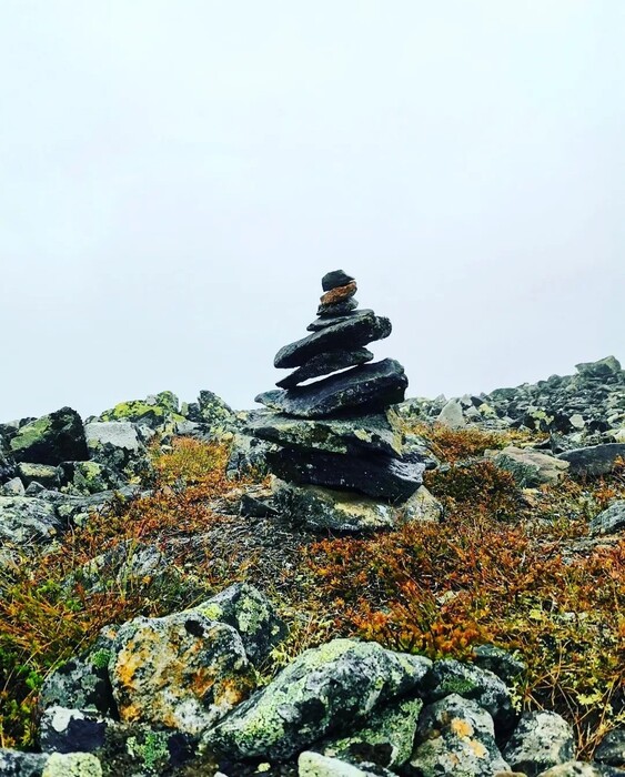 Blogi :: Heidi Bergman Tmi